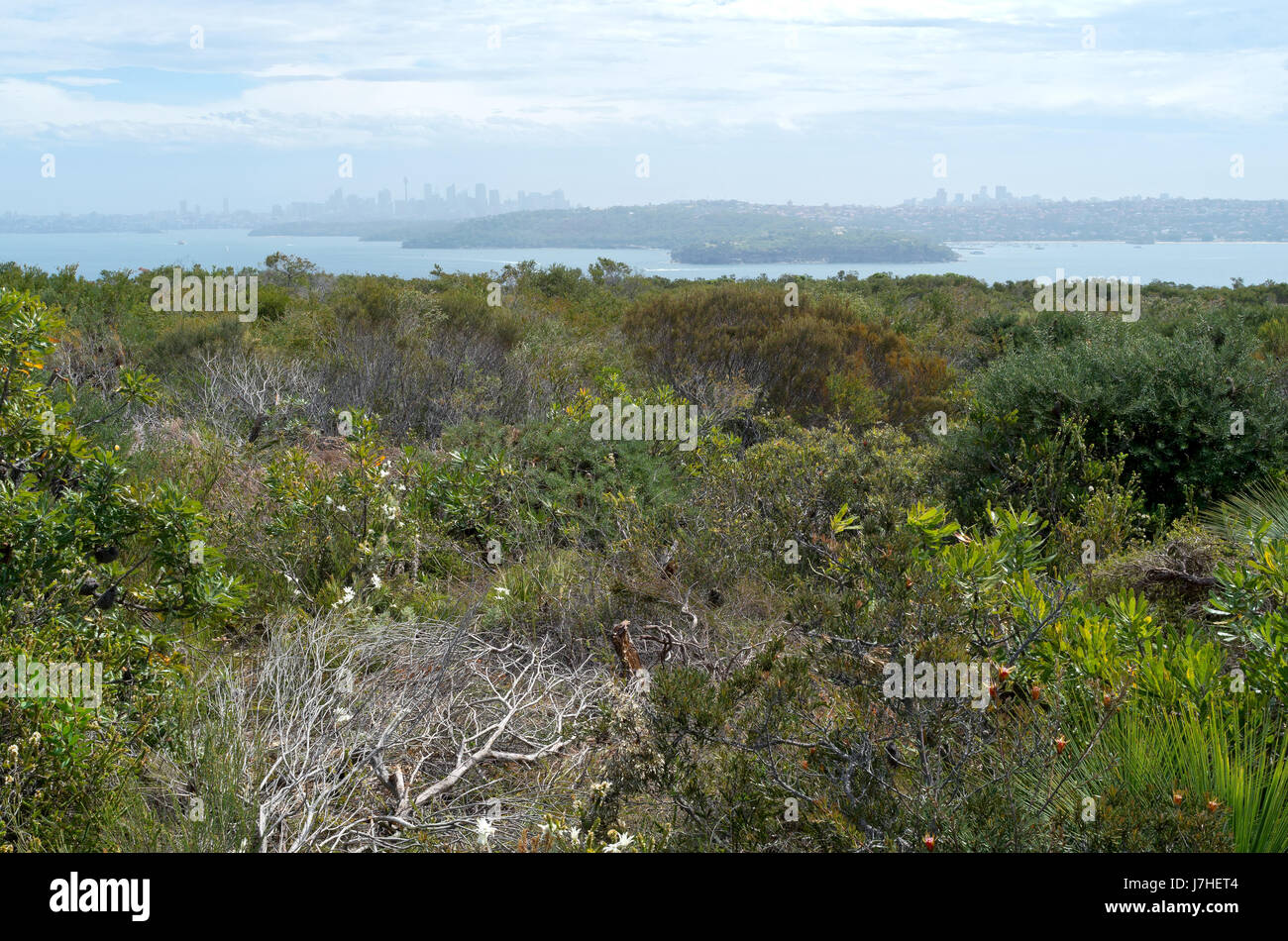North and south head sydney hi-res stock photography and images - Alamy