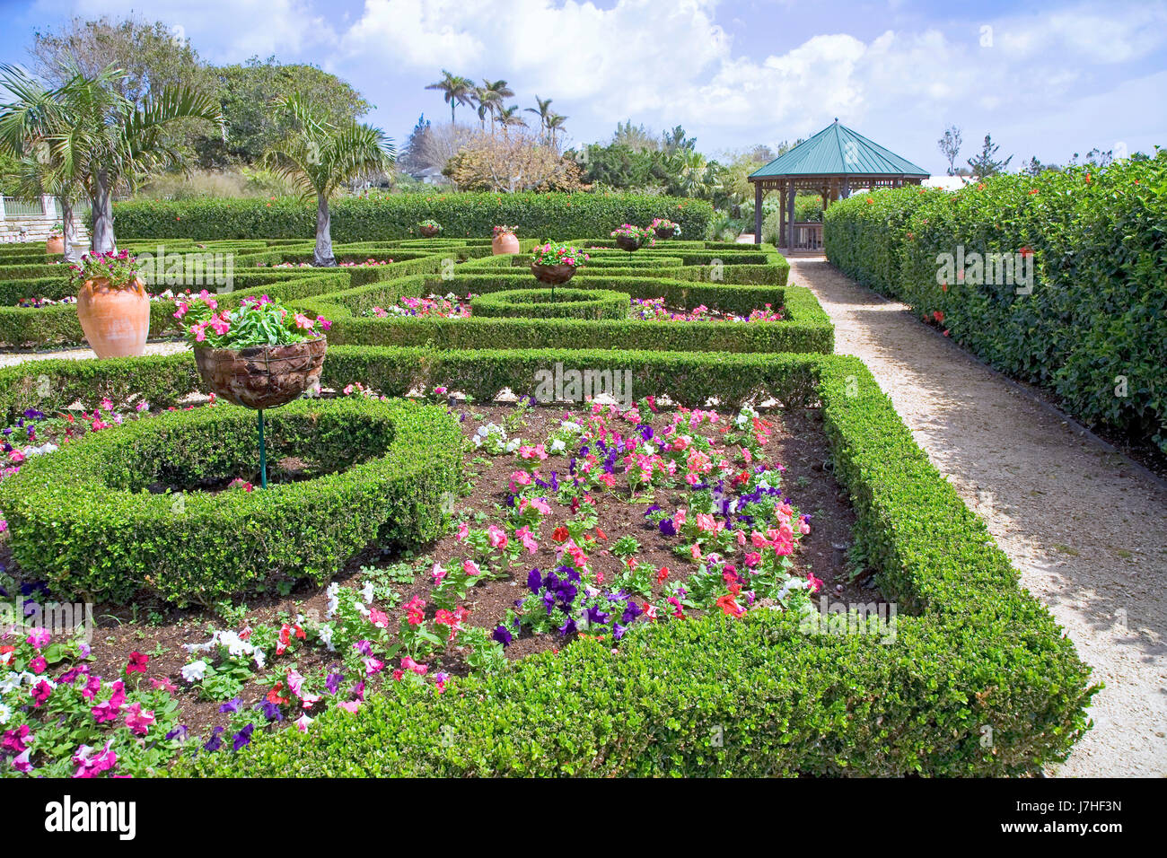 garden flower plant bloom blossom flourish flourishing shrub evergreen ...