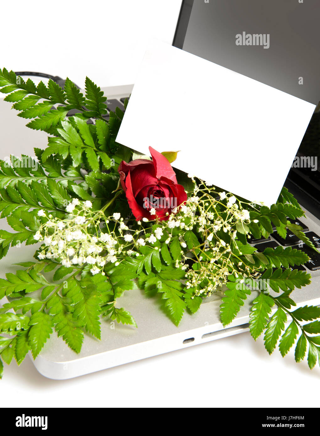 laptop notebook computers computer flower flowers plant roses party ...