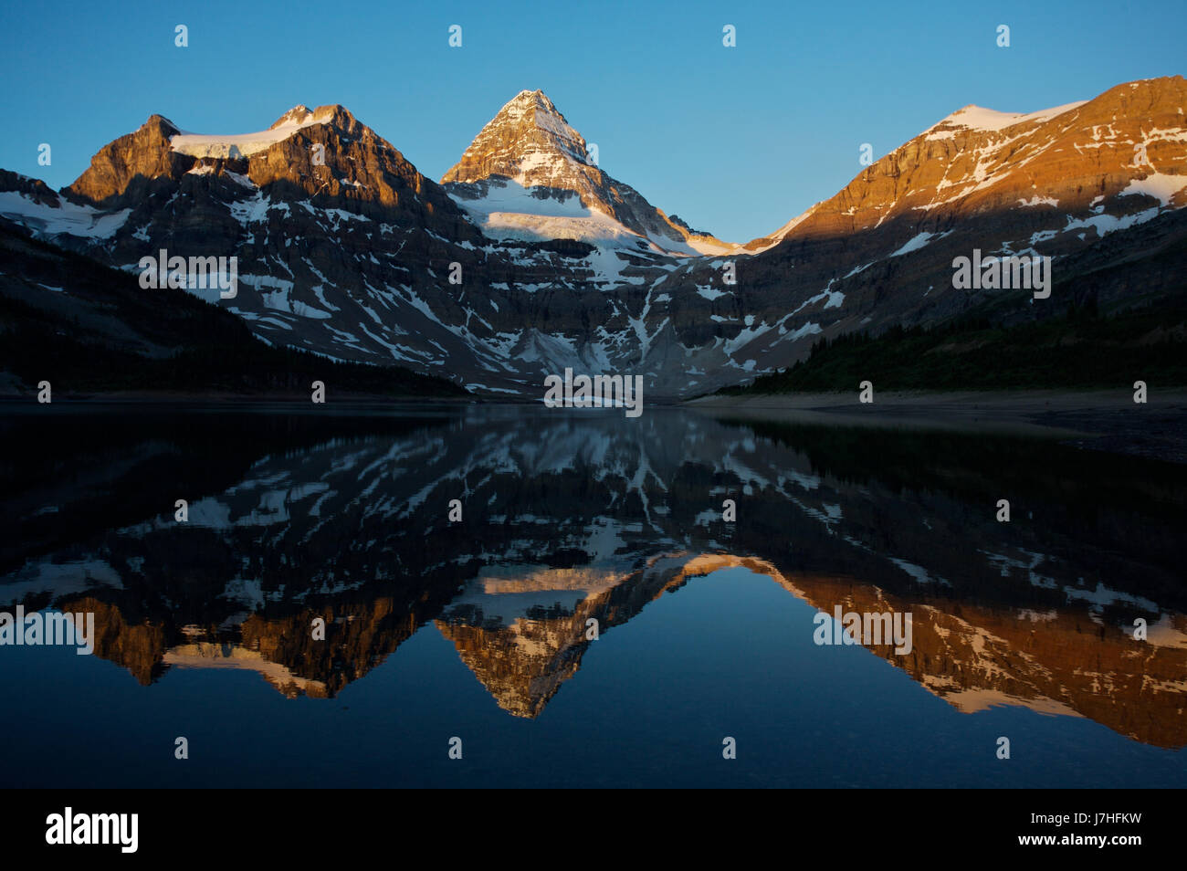 beautiful beauteously nice snow coke cocaine material drug anaesthetic ...