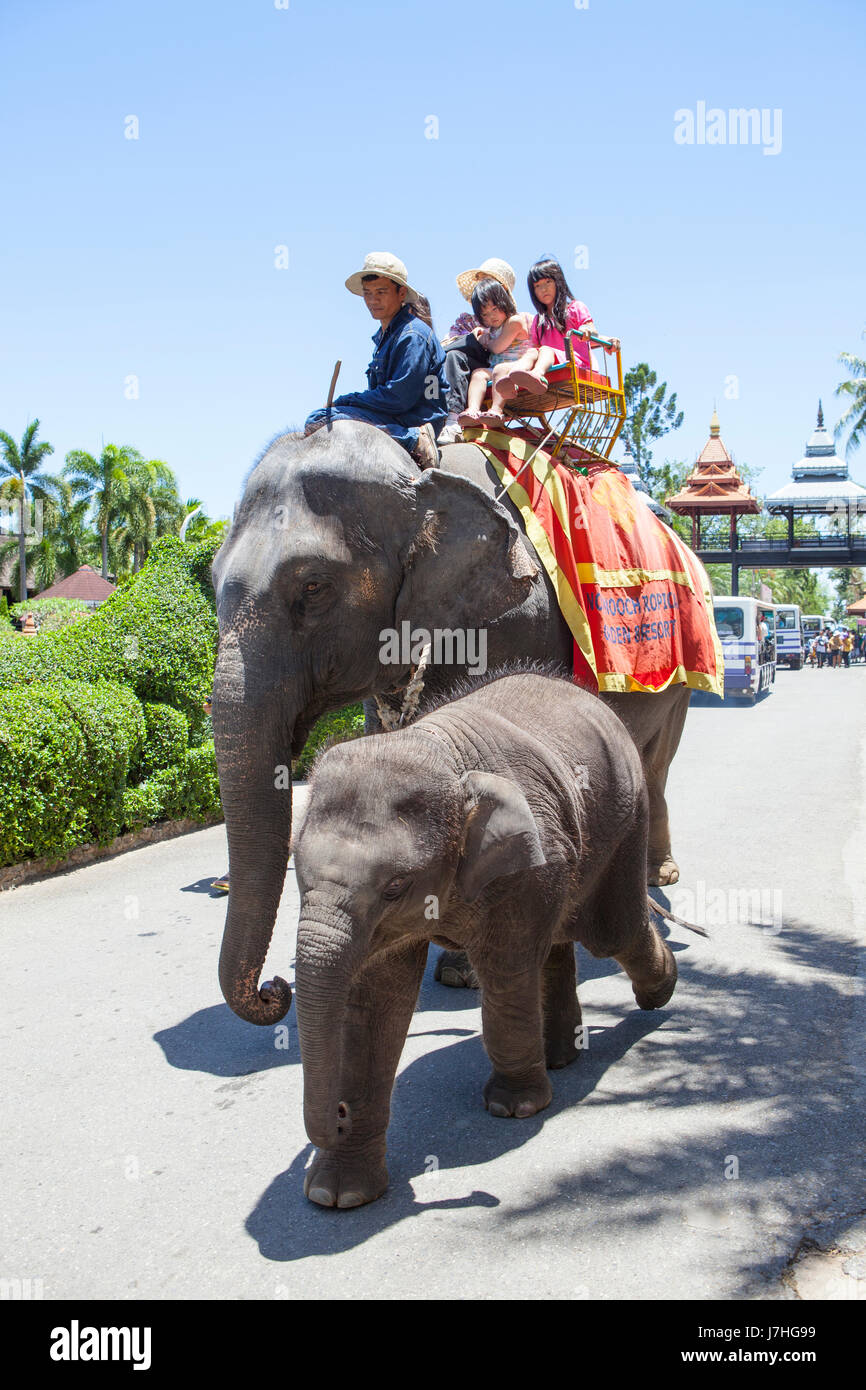 CHOLBURI THAILAND - AUGUST11 : children and family riding on elephant ...