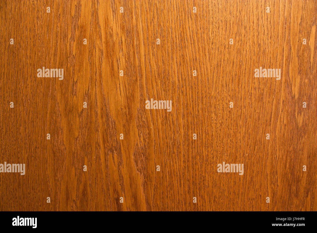 wood shape vein growth wooden texture wood shape vein growth wooden ...