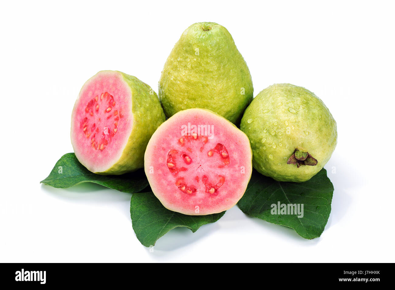 Guava leaf hi-res stock photography and images - Alamy