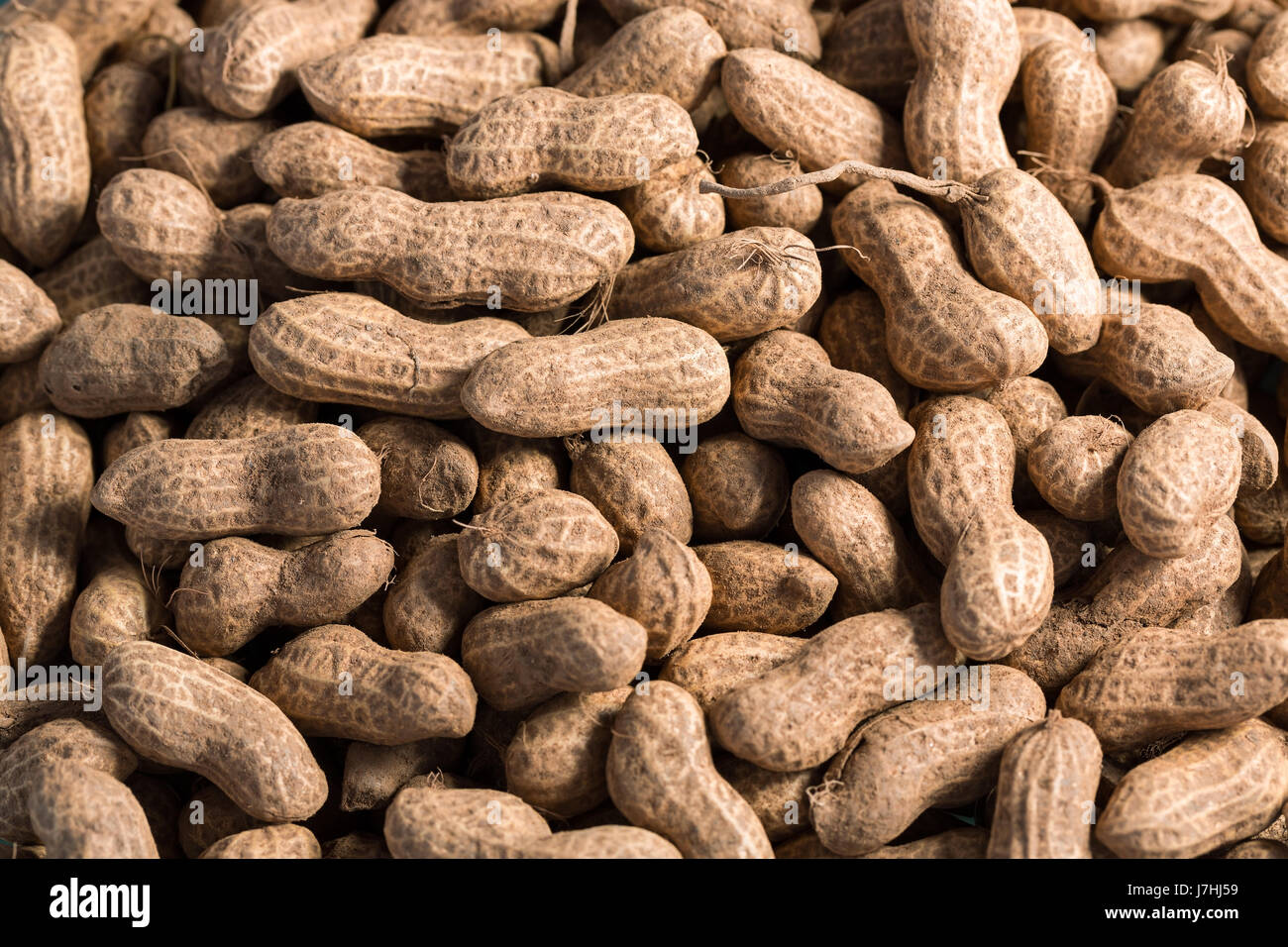 Many peanuts hi-res stock photography and images - Alamy