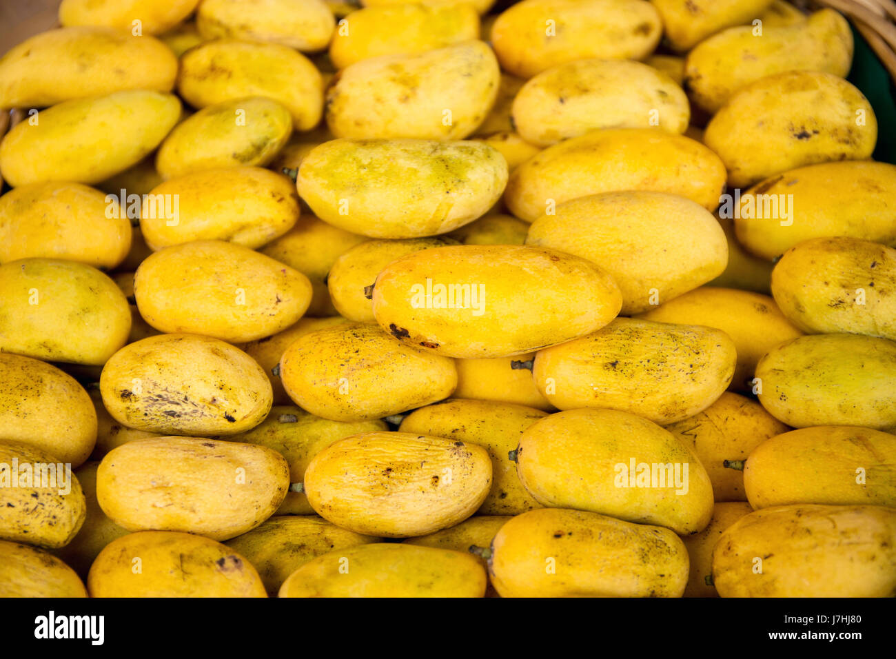 Stacks of ripe Philippines mangoes Stock Photo - Alamy