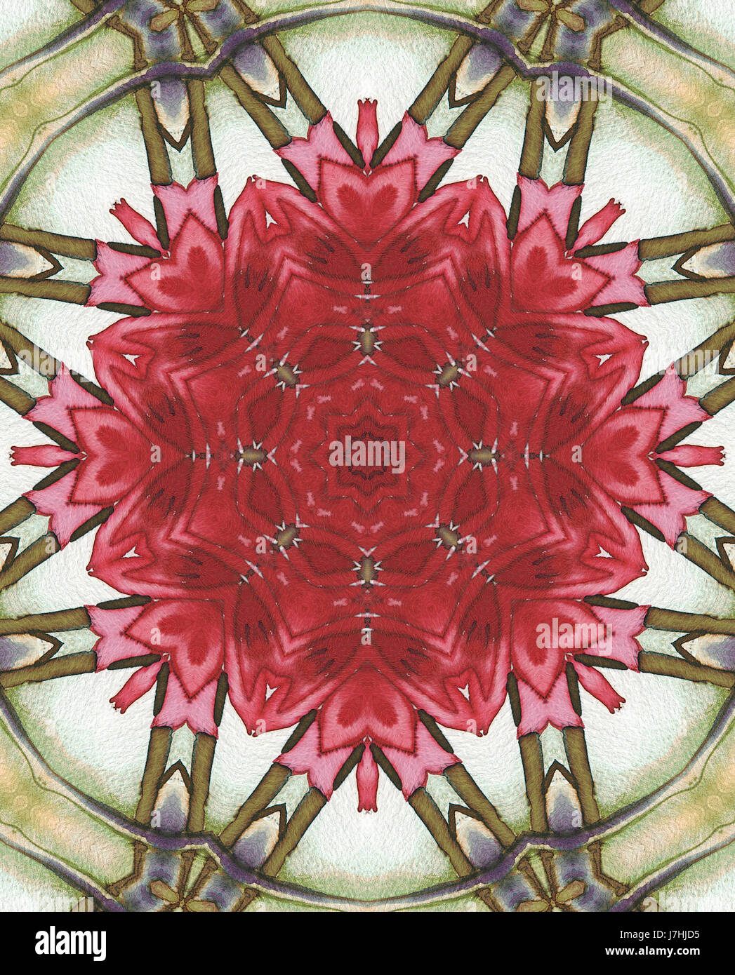 art colour flower plant traditional abstract watercolor dyer staint ...