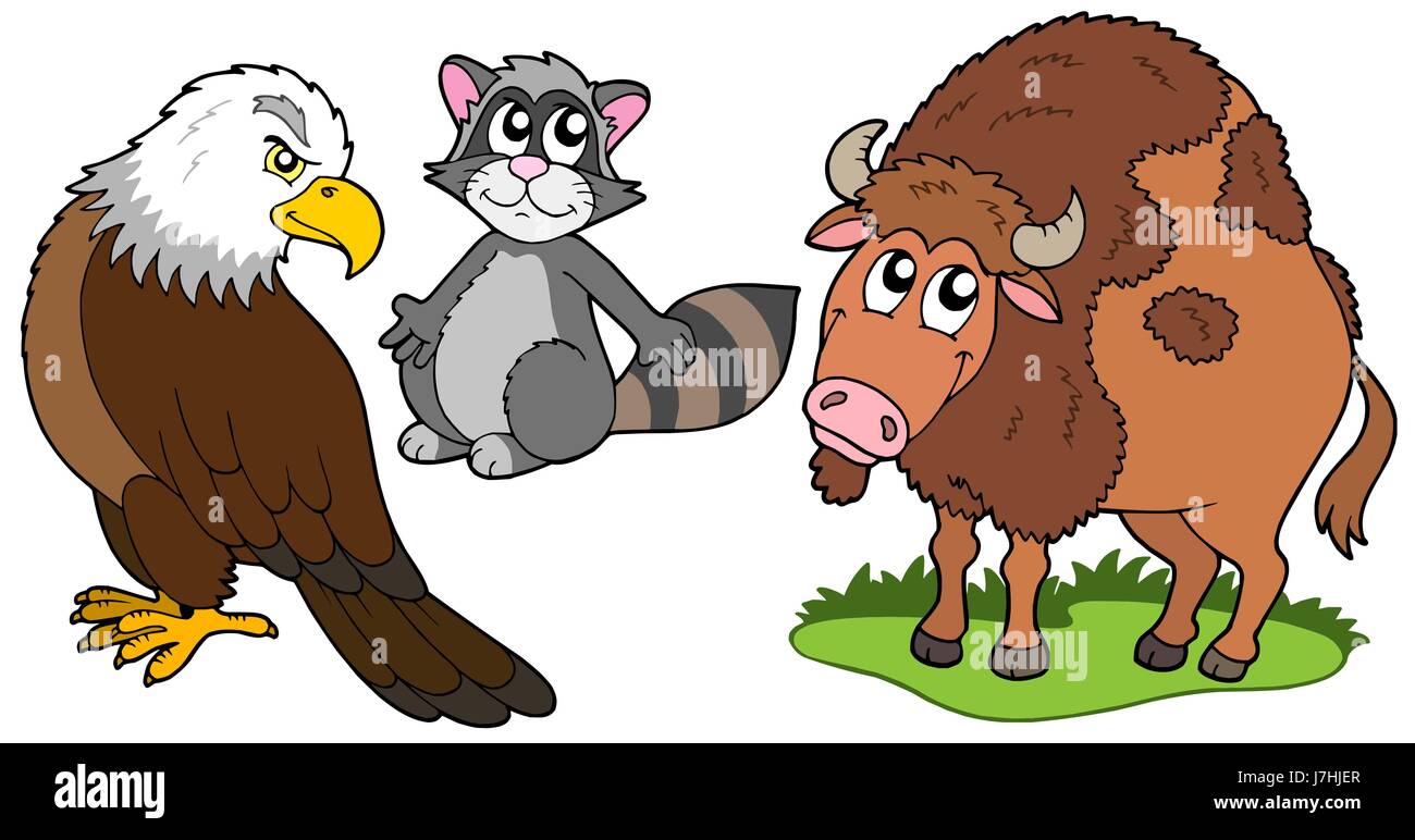 american animal bird america eagle bison laugh laughs laughing twit ...