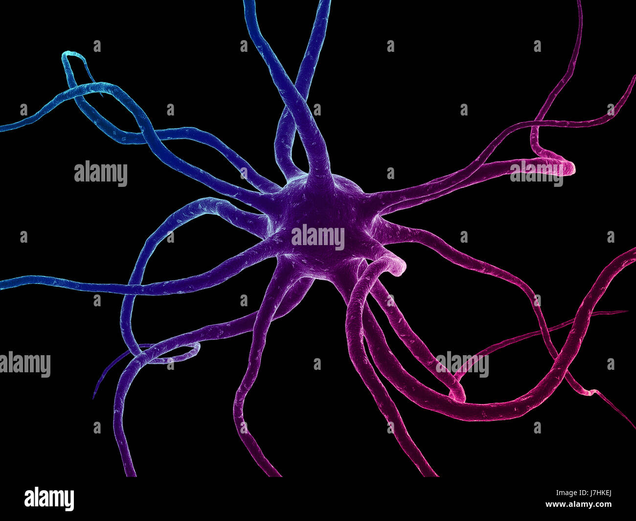 cell biology brain nerve neuron medicinally medical science human human ...