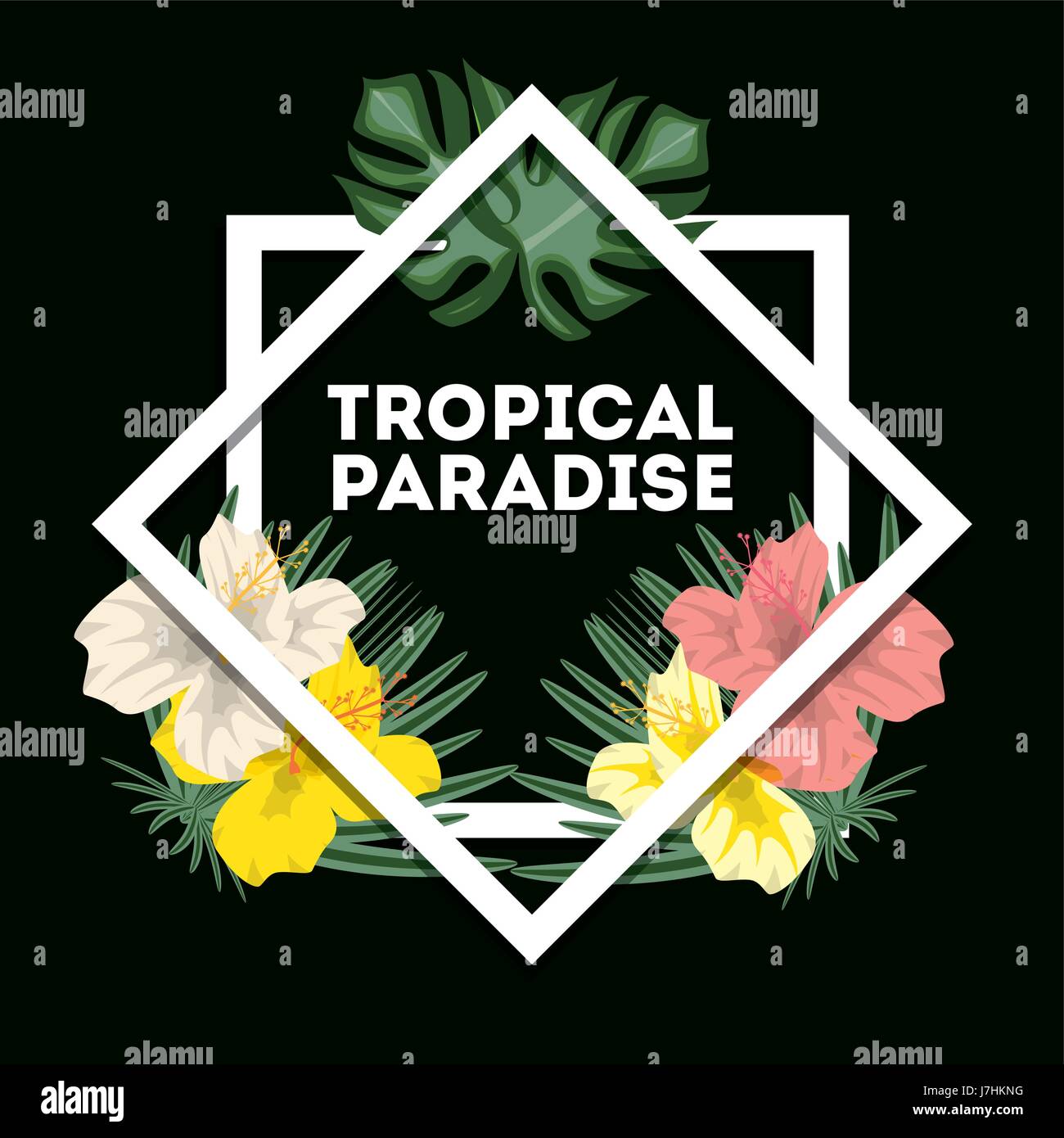 tropical concept with beautiful and colorful flowers Stock Vector Image ...