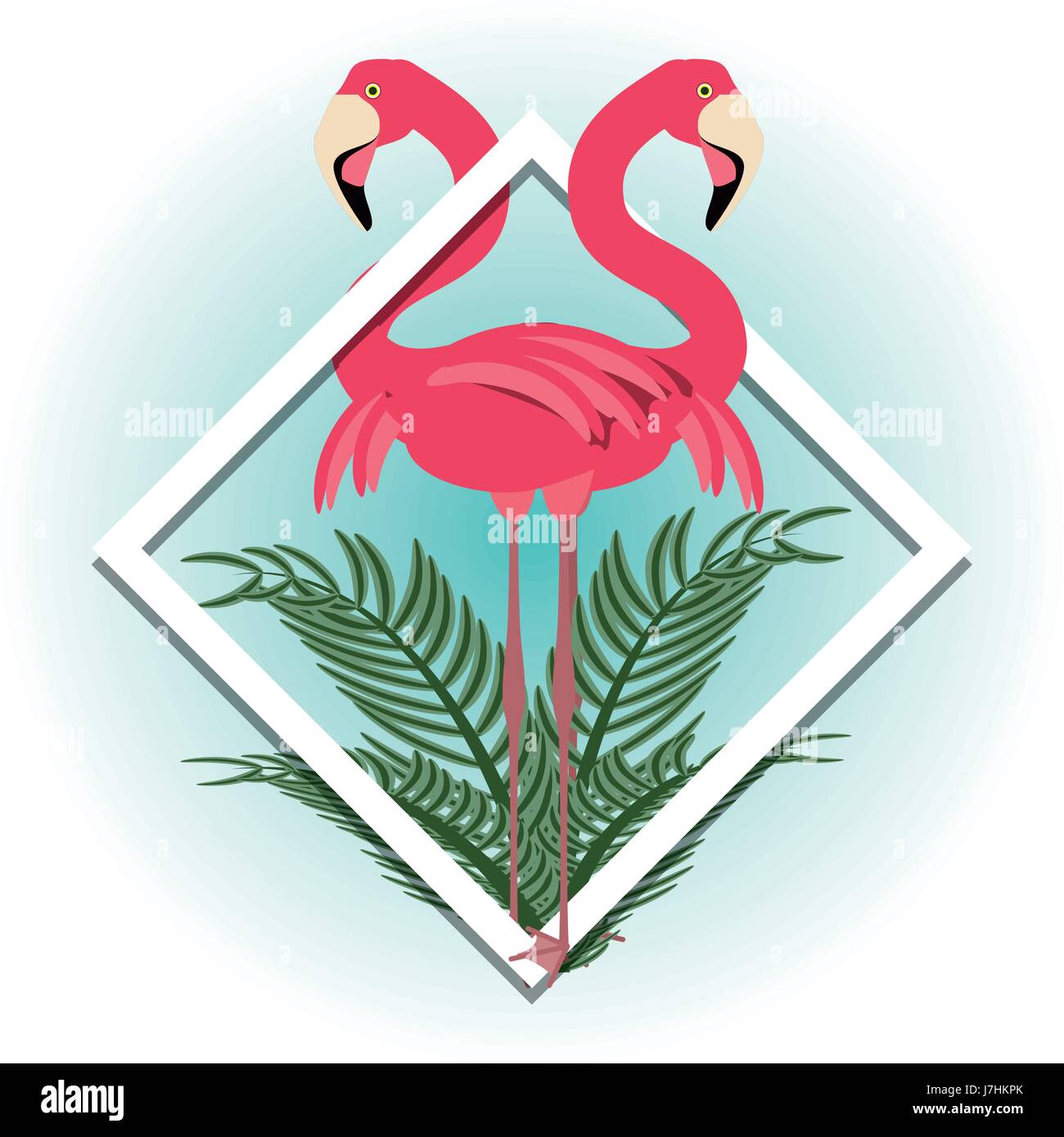 Flamingos exotic birds tropical Cut Out Stock Images & Pictures - Alamy
