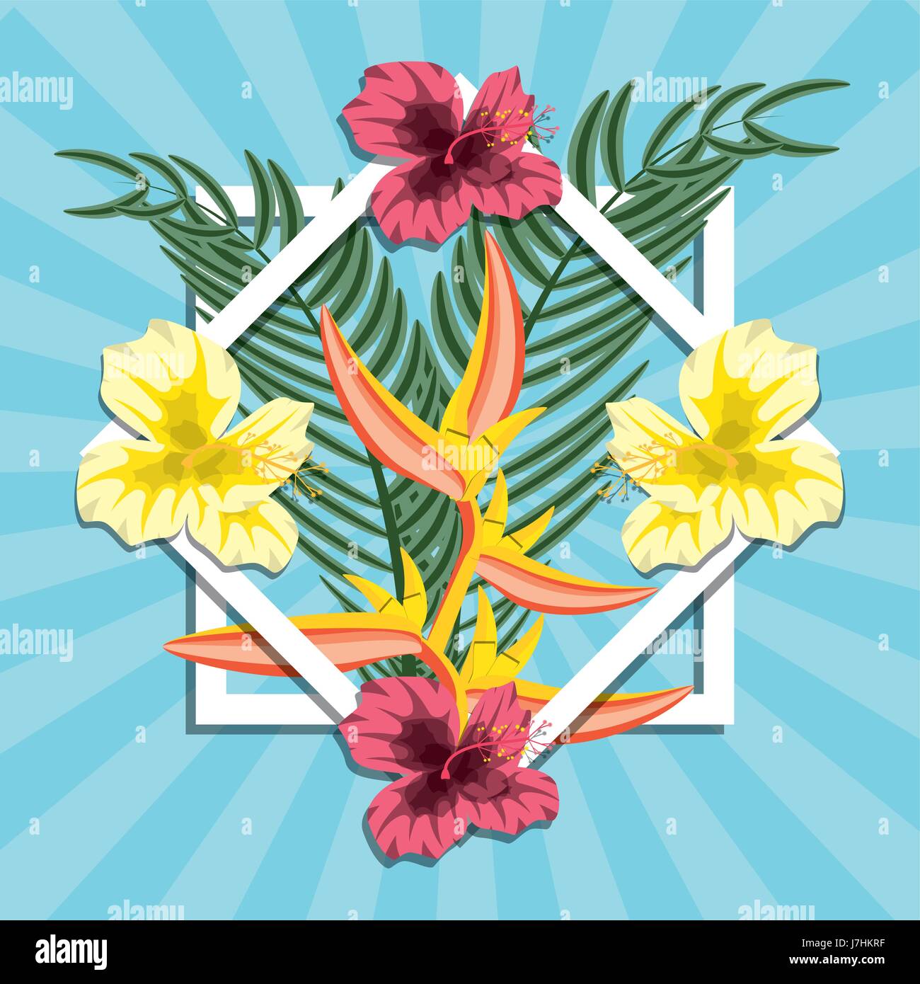 tropical concept with beautiful and colorful flowers Stock Vector Image ...