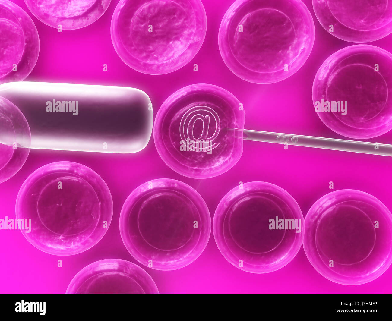 cell egg biology insemination genetic cellular health culture ...