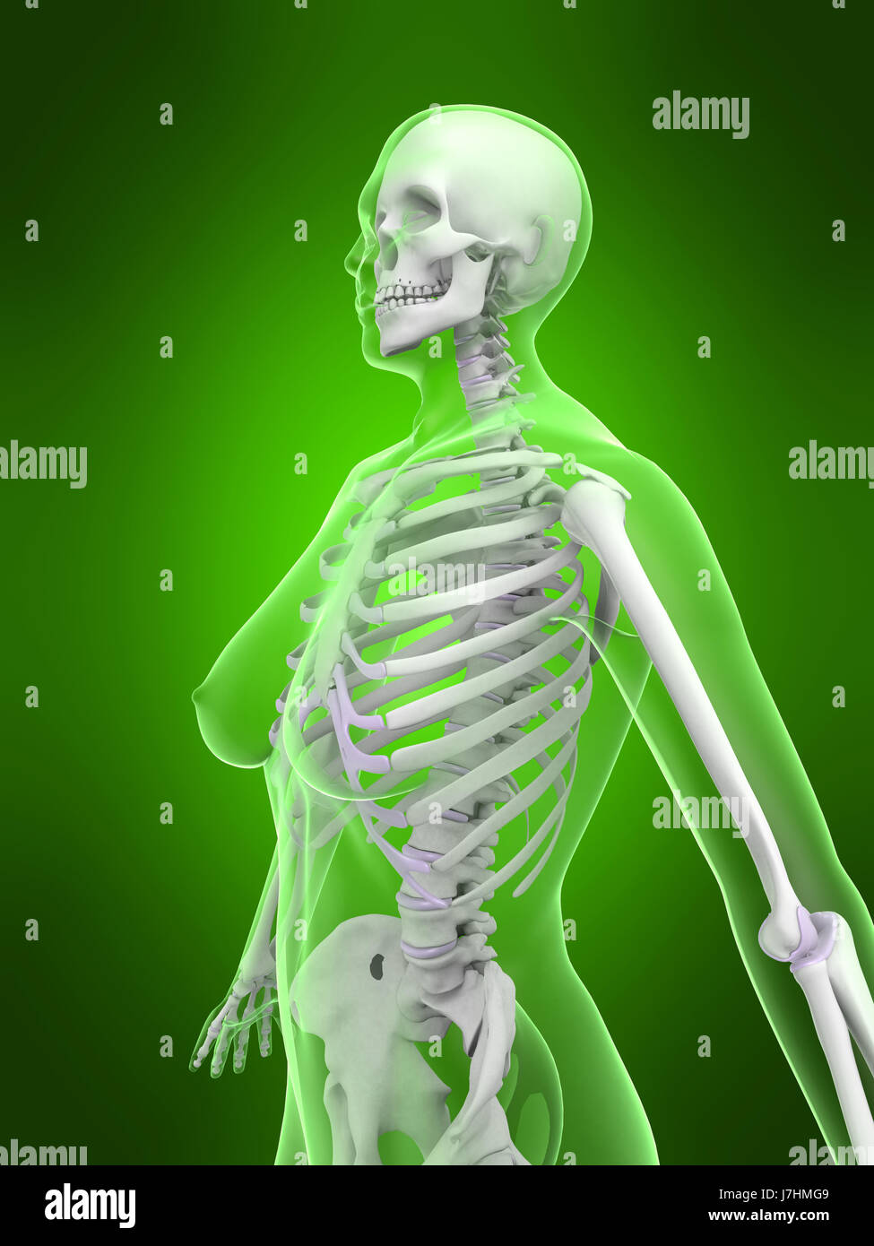 woman female human human being skeleton anatomy body osteoporosis hand health Stock Photo - Alamy