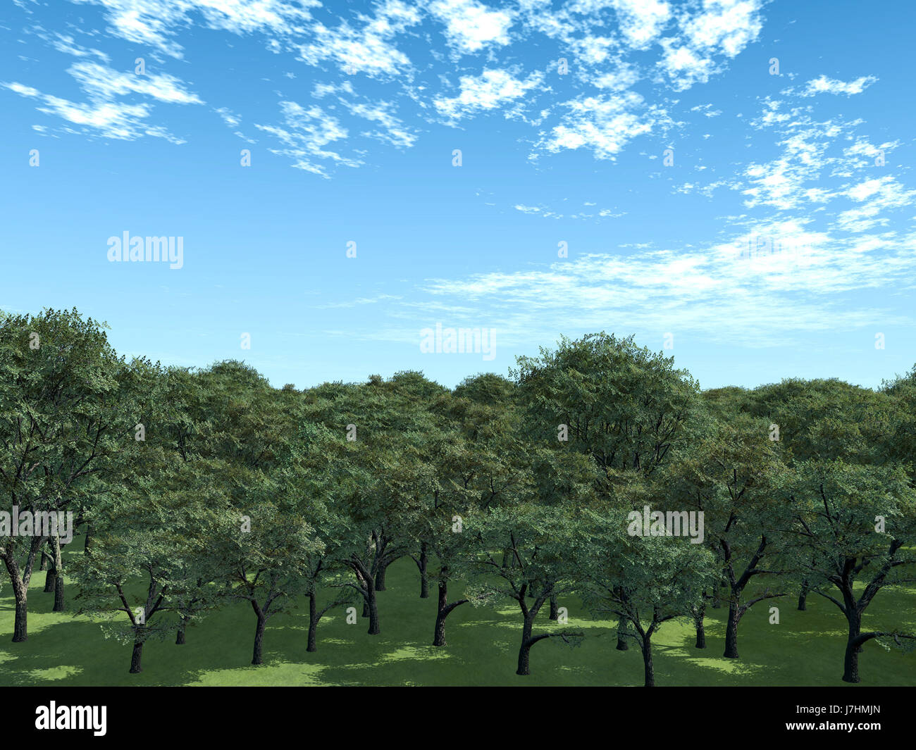 tree trees illustration forest blue travel tree trees horizon plant ...