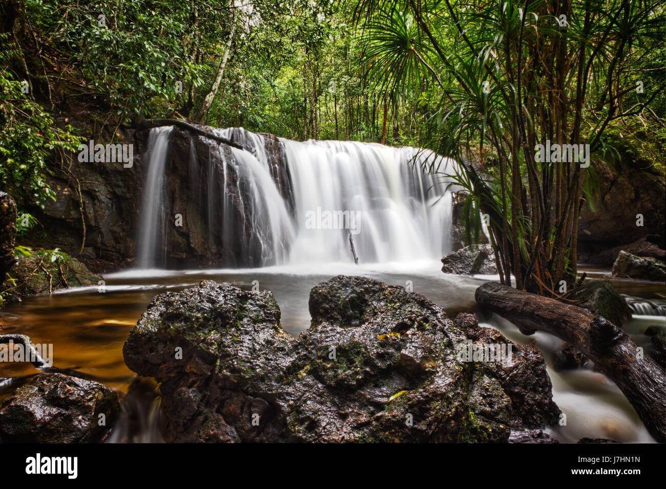 waterfall idyllic clear wilderness backdrop background rainforest rain ...