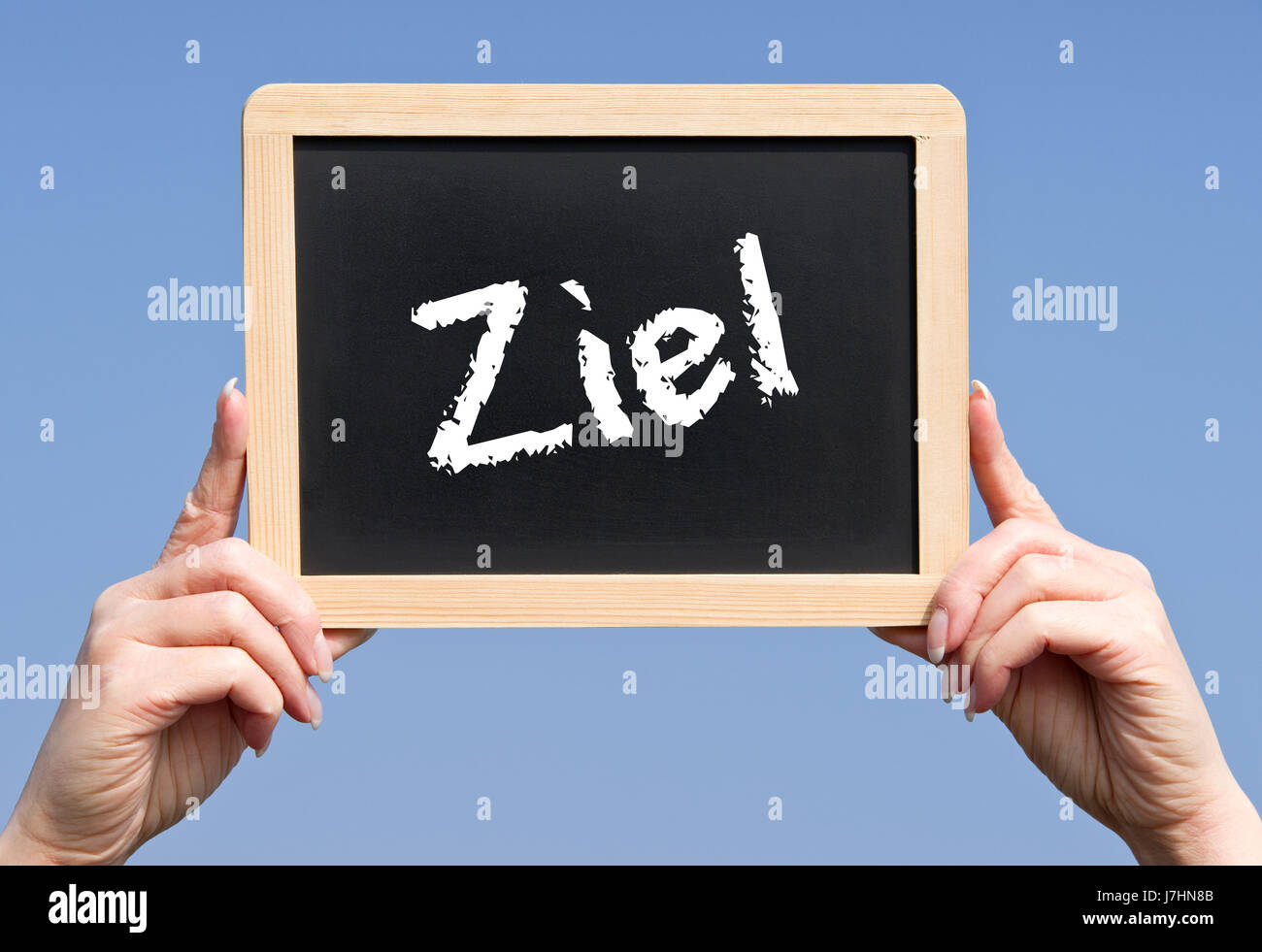 future aim goal end vision objectives finales success project seminar ...