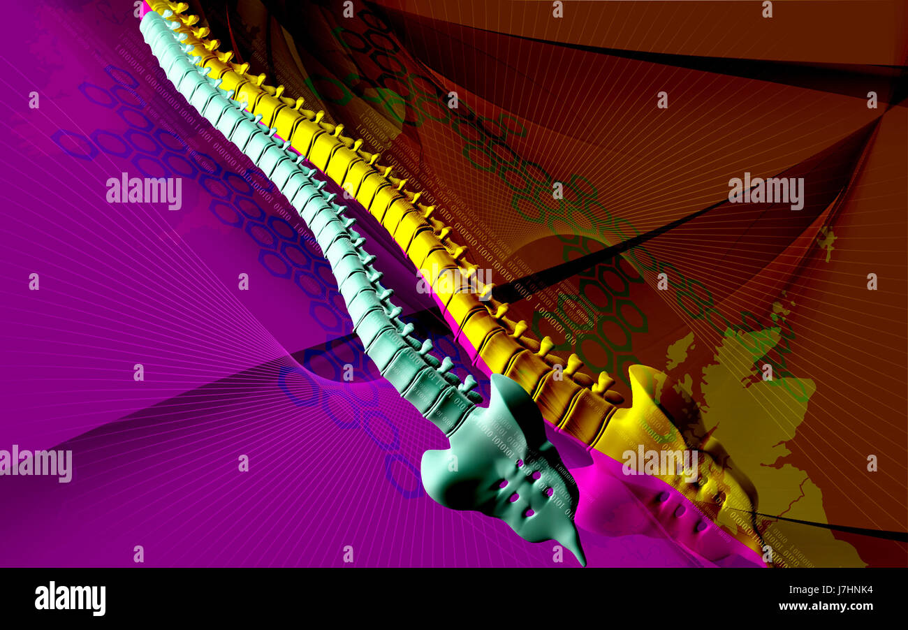 health medicinally medical graphics colour illustration stretch ...