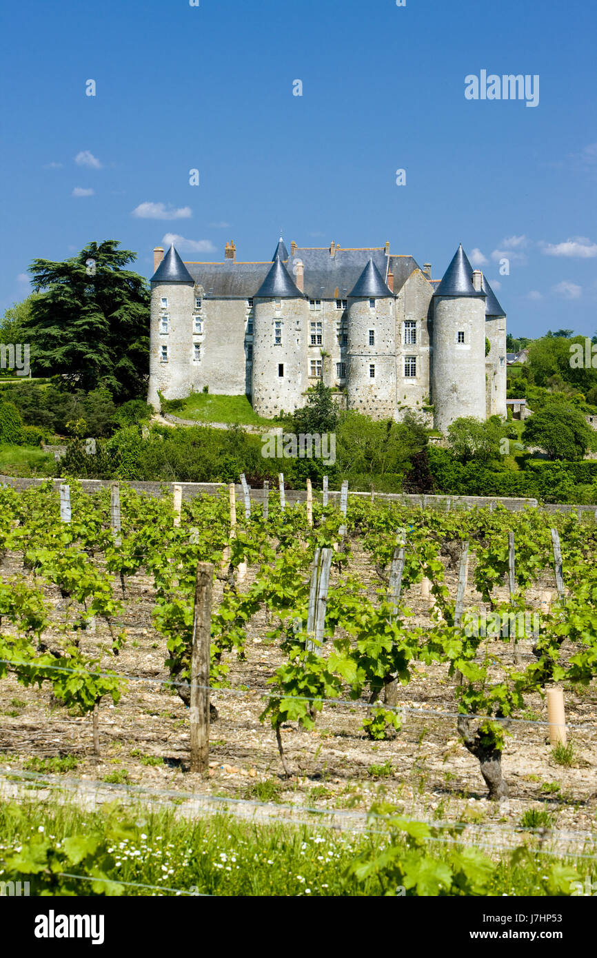 vineyard wineyard travel historical monument sights vineyards europe ...