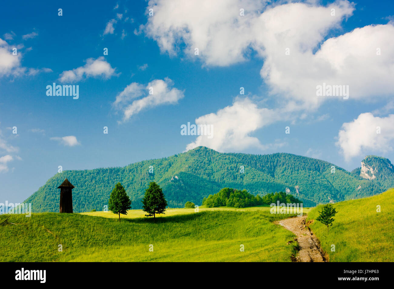 slovakia humans human beings people folk persons human human being ...
