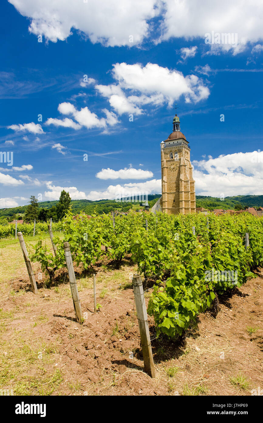 vineyard wineyard tower travel buildings historical church city town ...