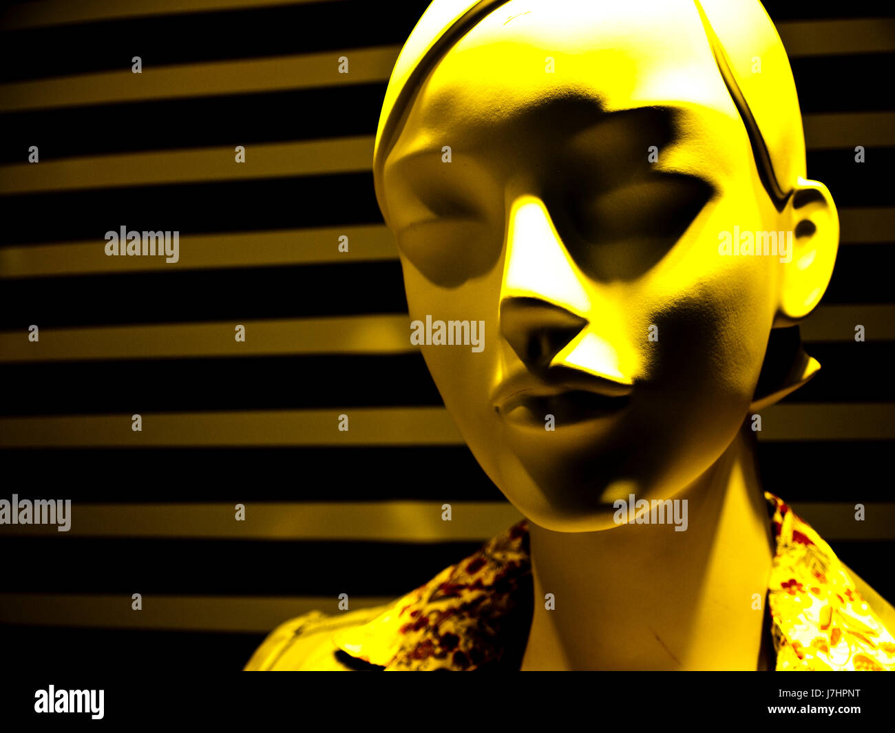 Yellow head stripe hi-res stock photography and images - Alamy