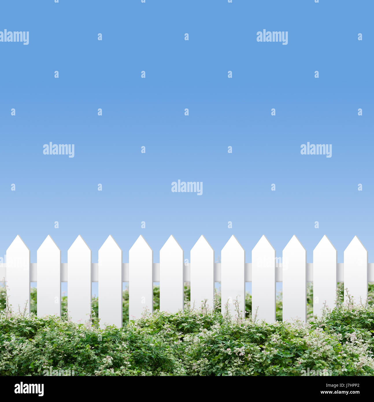 garden shrub fence fence in fencing picket firmament sky backdrop ...