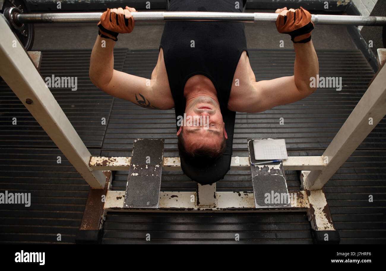 male masculine muscles bodybuilding workout fitness bodybuilder ...