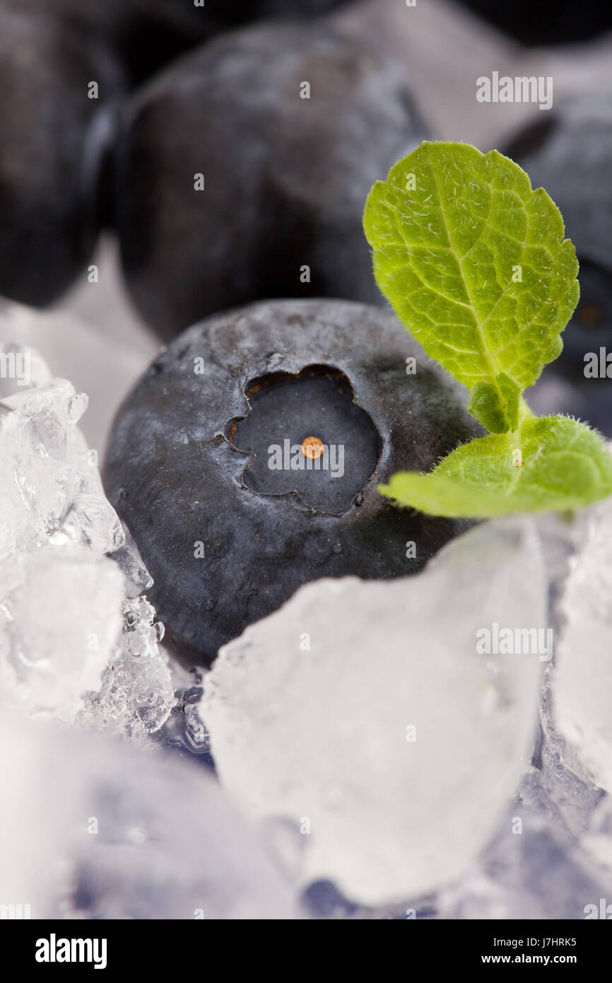 sweet cold fruit cool berries bilberries blueberries blueberry fresh ...