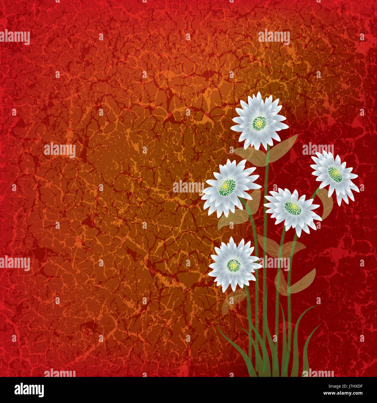 beautiful beauteously nice leaf single art composition colour model ...