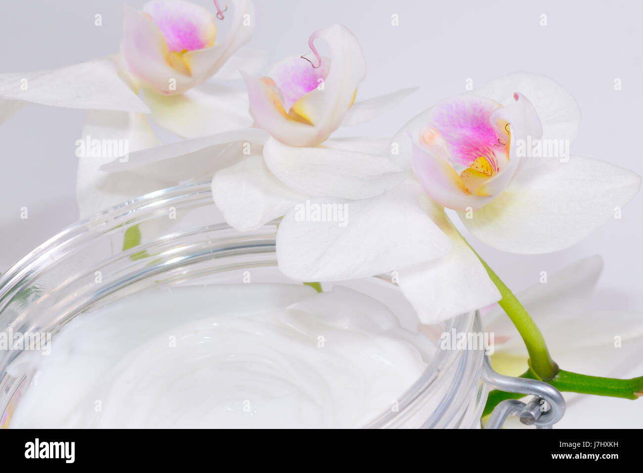 body cream with orchid Stock Photo - Alamy