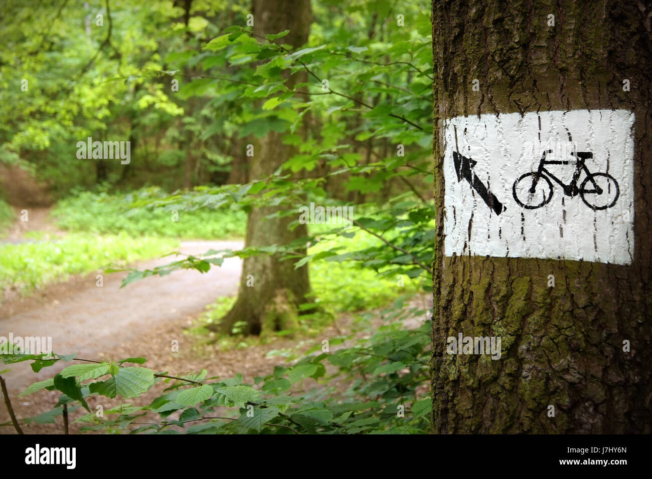 sign road bike bicycle cycle path way street cycling biking ride a bike ...