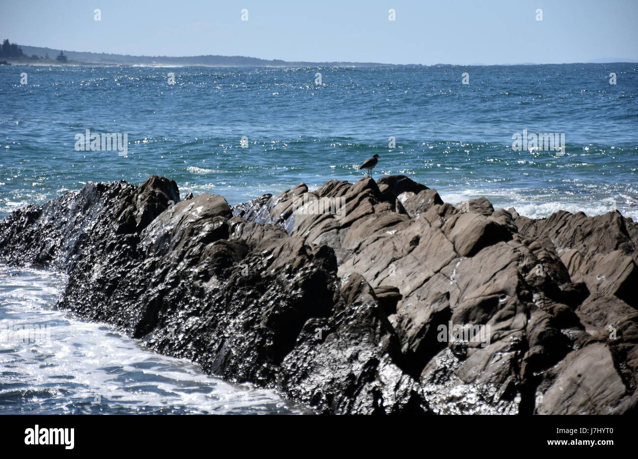 Rocks at Potato Point beach. Potato Point is a village in the ...