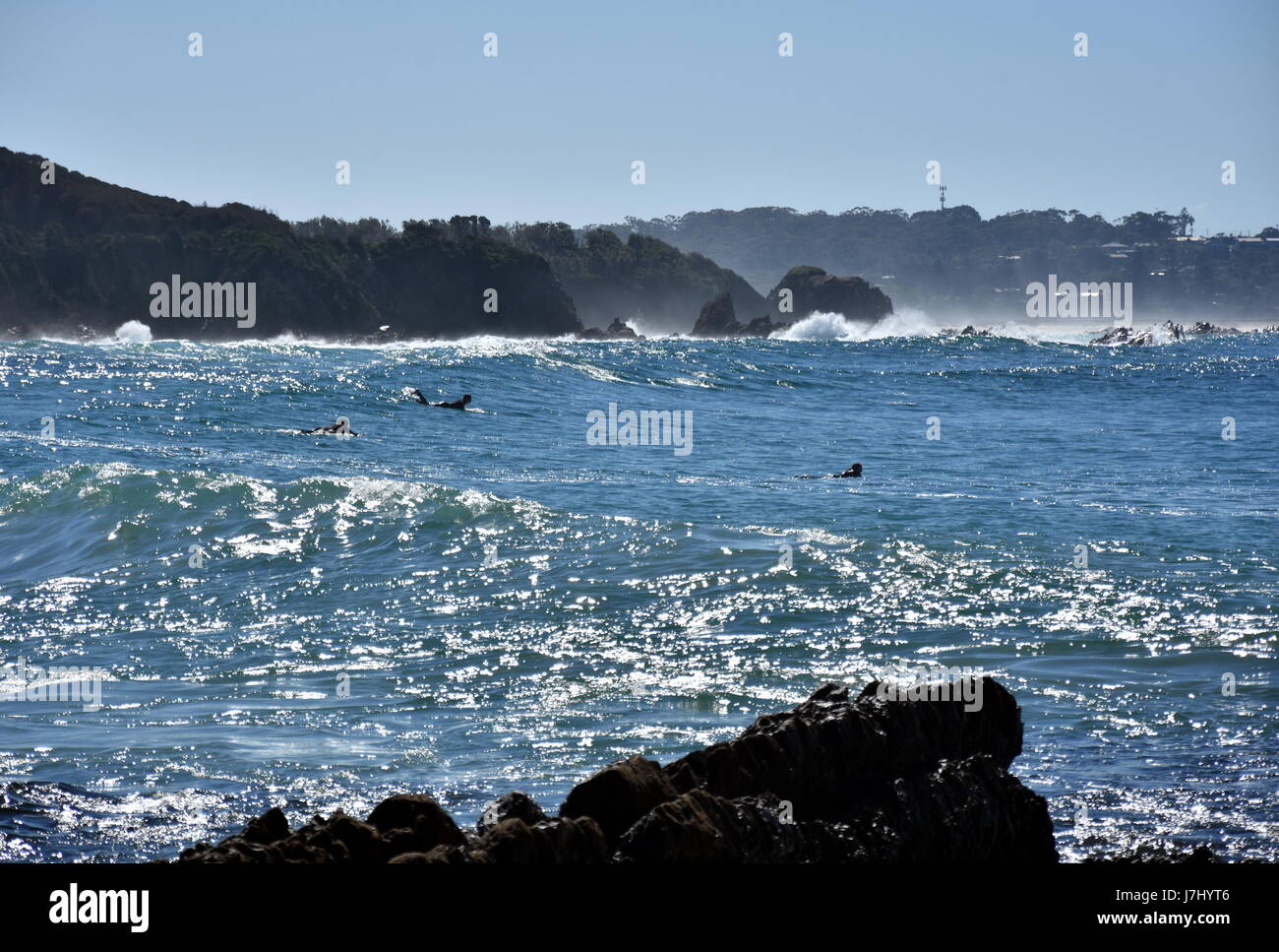 People surfing on Potato Point beach. Surfers sit on surf boards wait ...