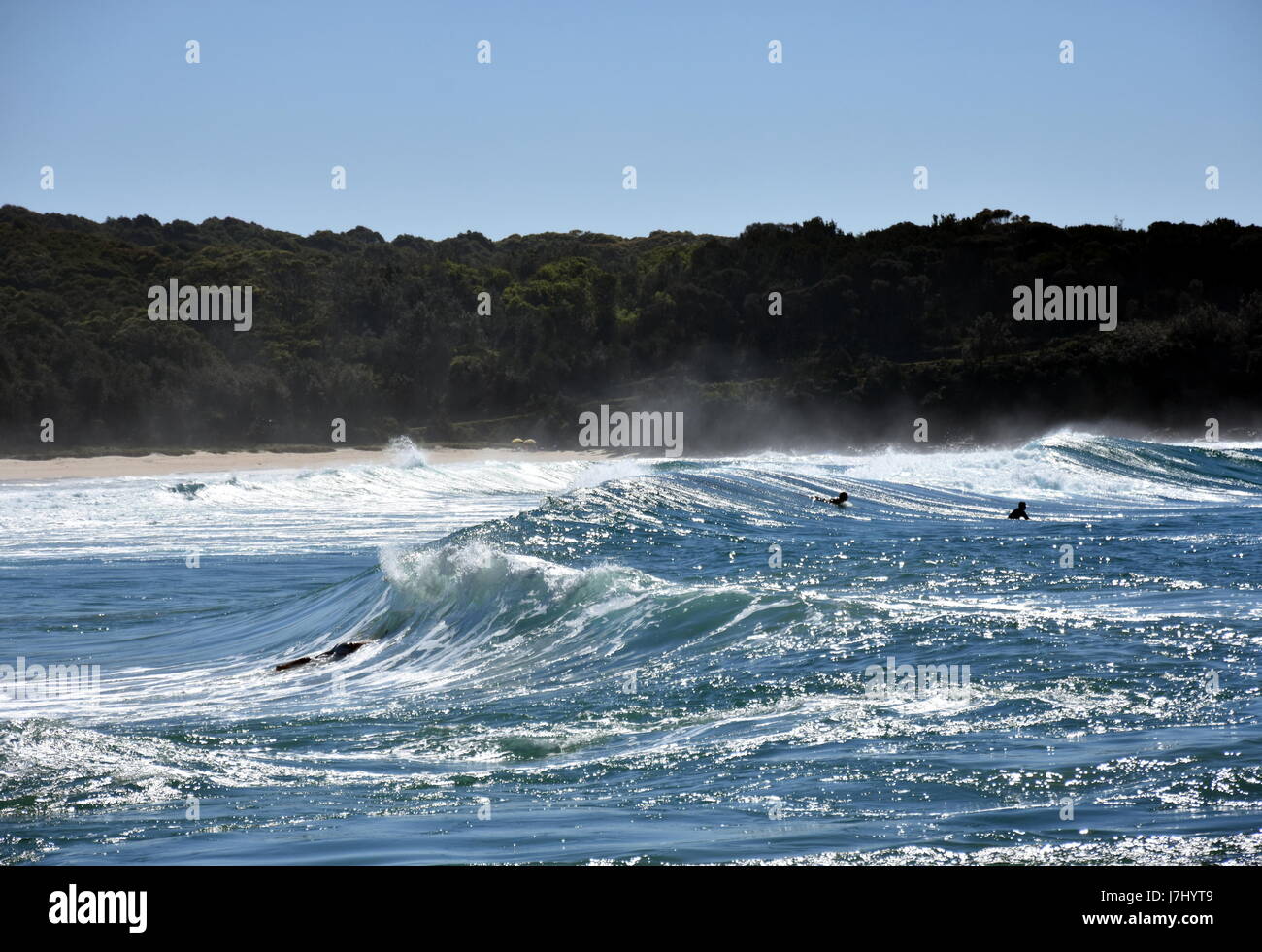 People surfing on Potato Point beach. Surfers sit on surf boards wait ...