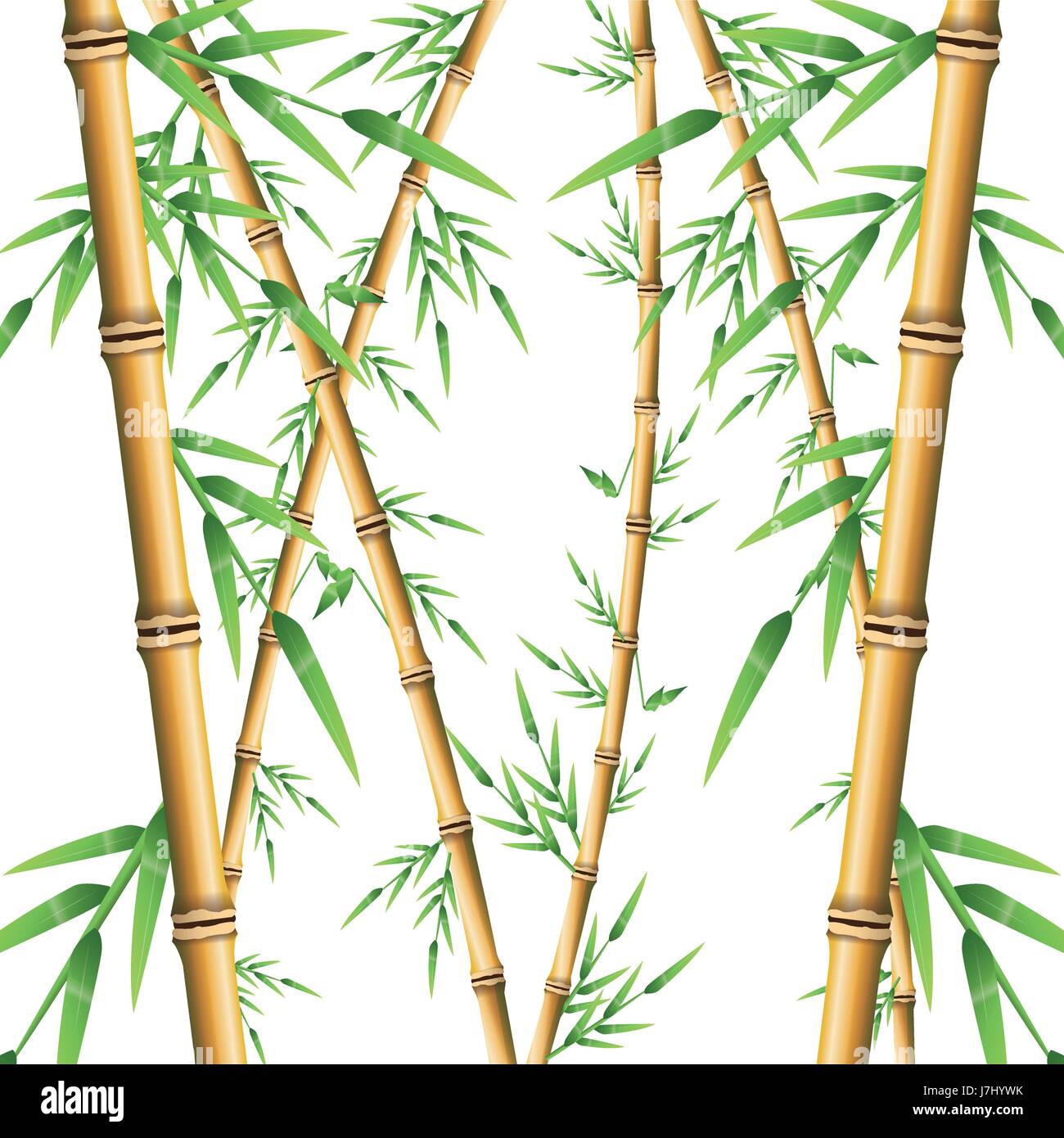 bamboo forest set. spa nature. plant tree with leaves Stock Vector ...
