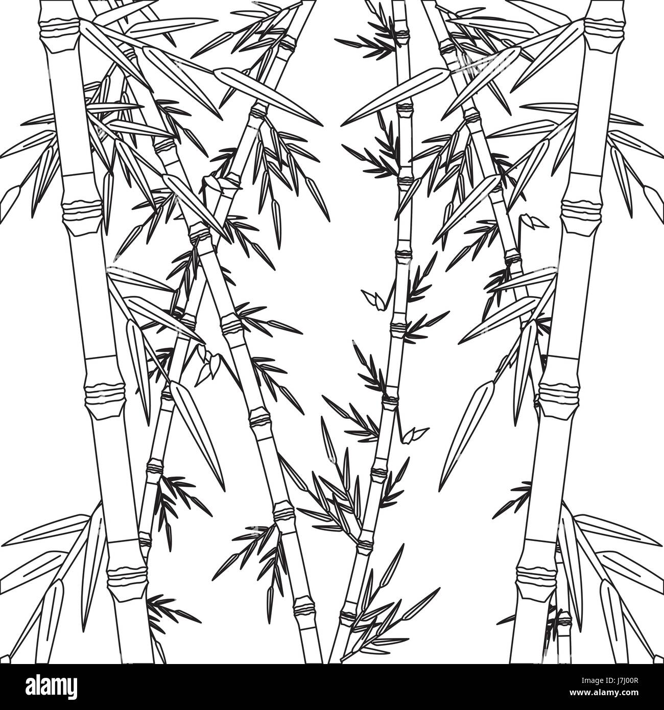 bamboo forest set. spa nature. plant tree with leaves Stock Vector ...