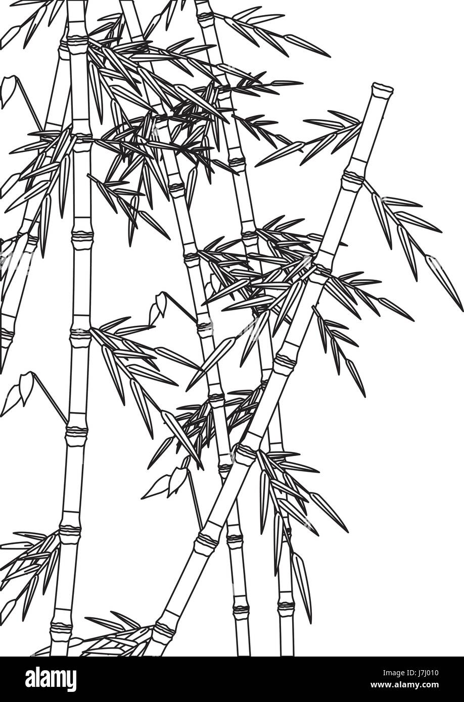 bamboo forest set. spa nature. plant tree with leaves Stock Vector ...