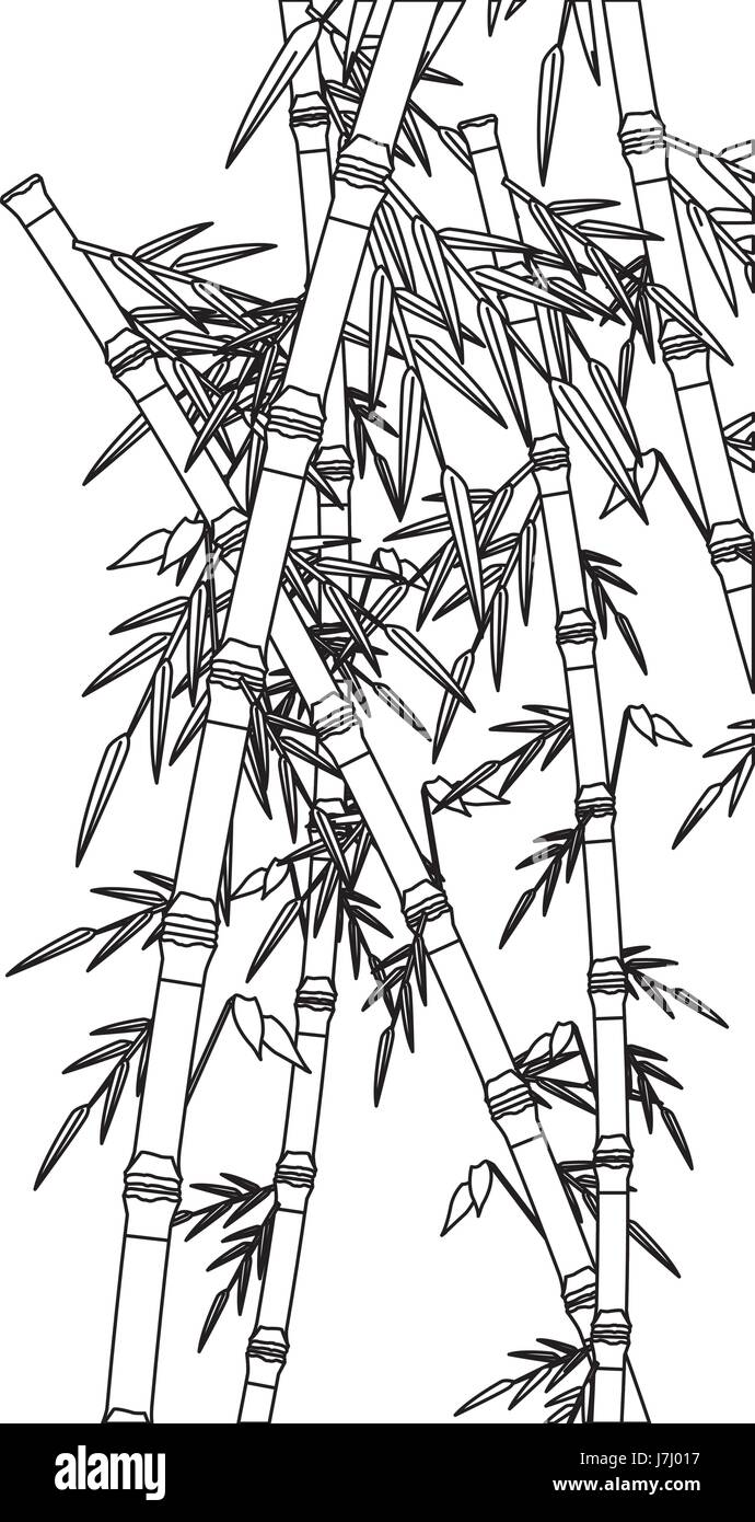 bamboo forest set. spa nature. plant tree with leaves Stock Vector ...