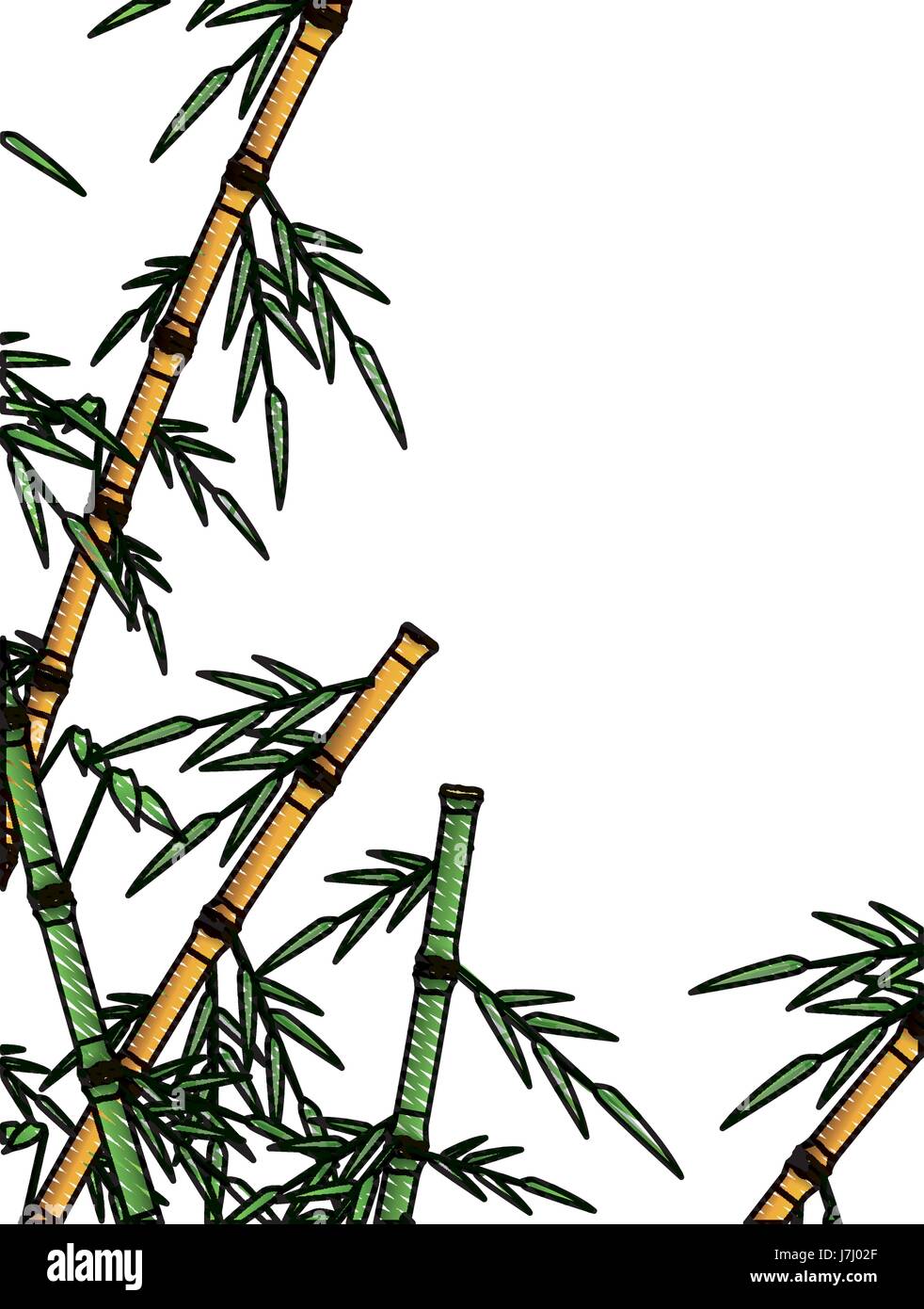 bamboo forest set. spa nature. plant tree with leaves Stock Vector ...