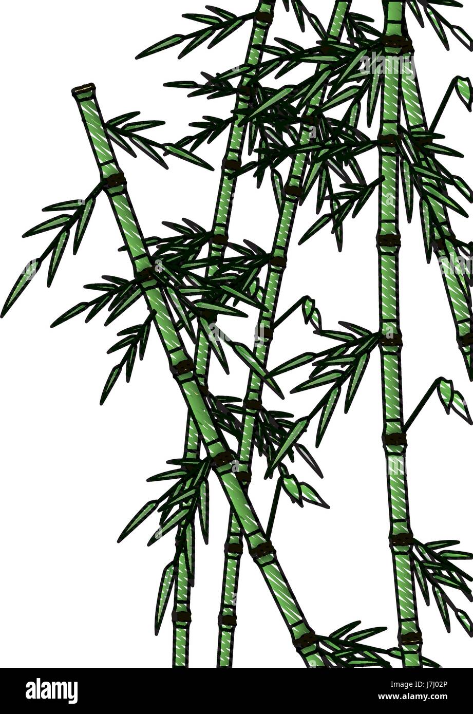 bamboo forest set. spa nature. plant tree with leaves Stock Vector ...