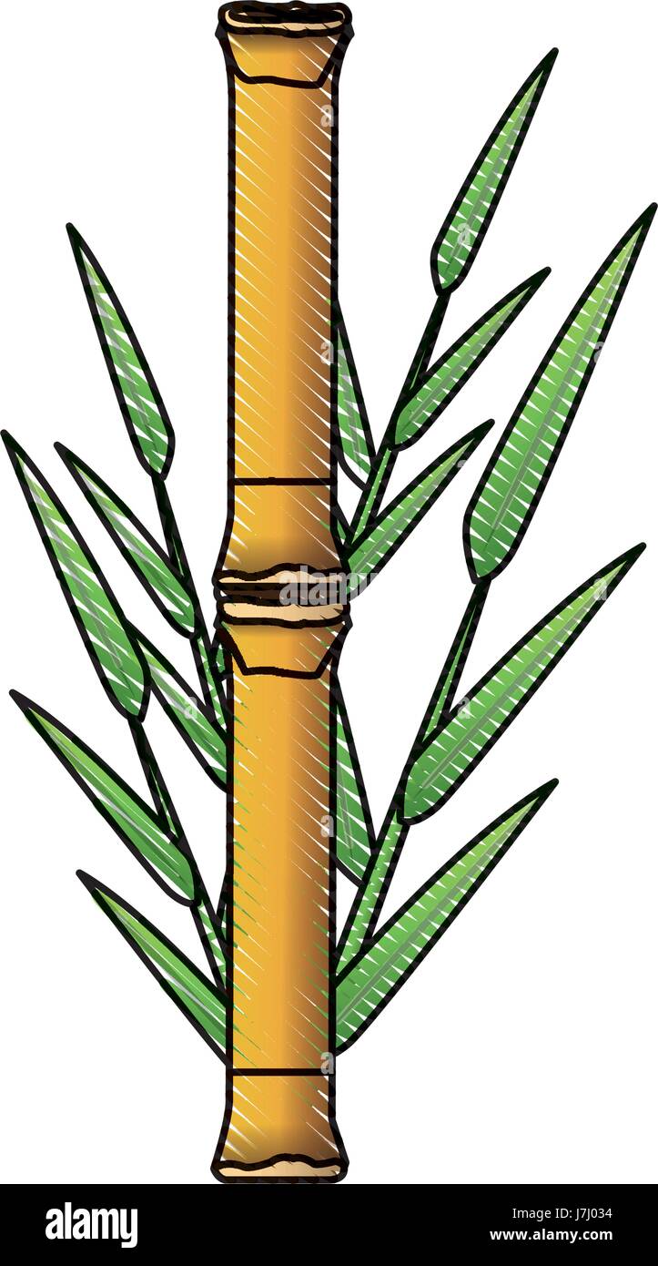 bamboo forest set. spa nature. plant tree with leaves Stock Vector ...