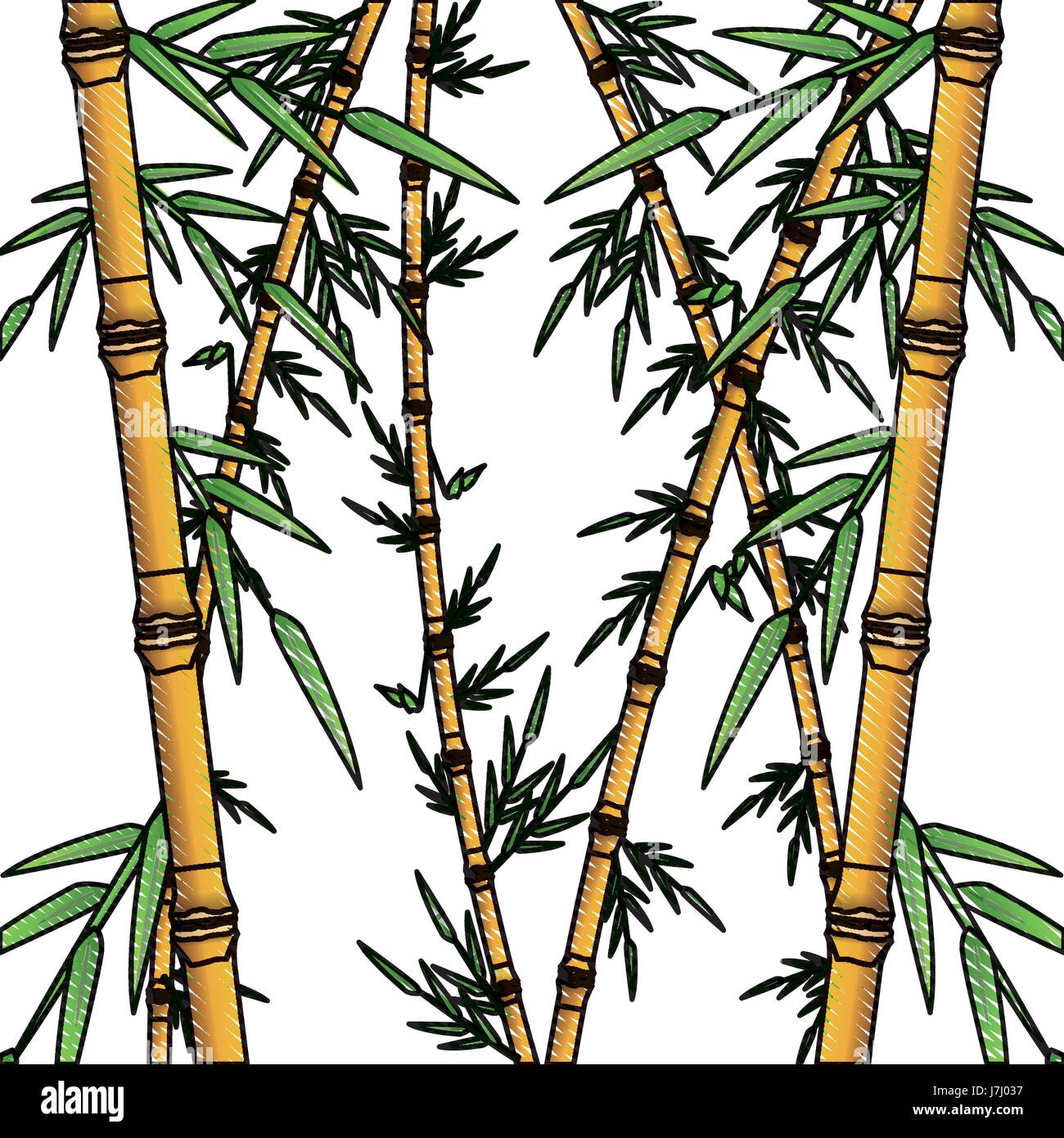 bamboo forest set. spa nature. plant tree with leaves Stock Vector ...