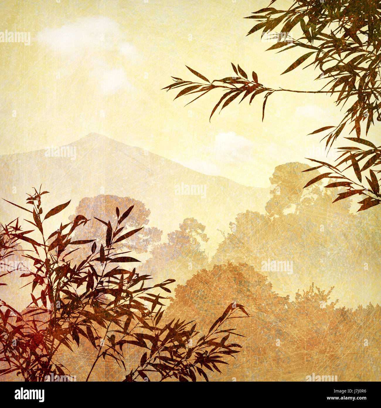 tree trees forest tree trees park jungle illustration woods silhouette ...