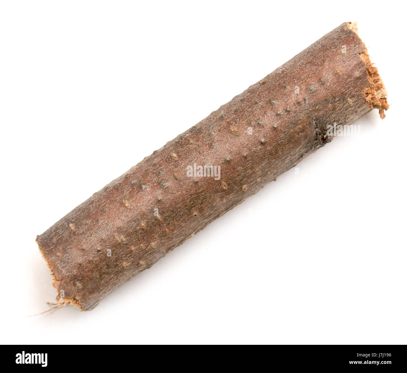 apple log isolated on white background Stock Photo - Alamy