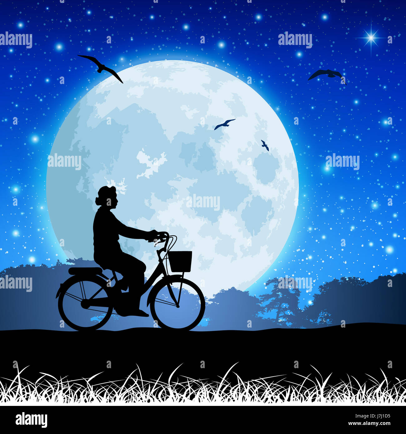 night nighttime moon bike bicycle cycle blue tree trees cosmos bird ...