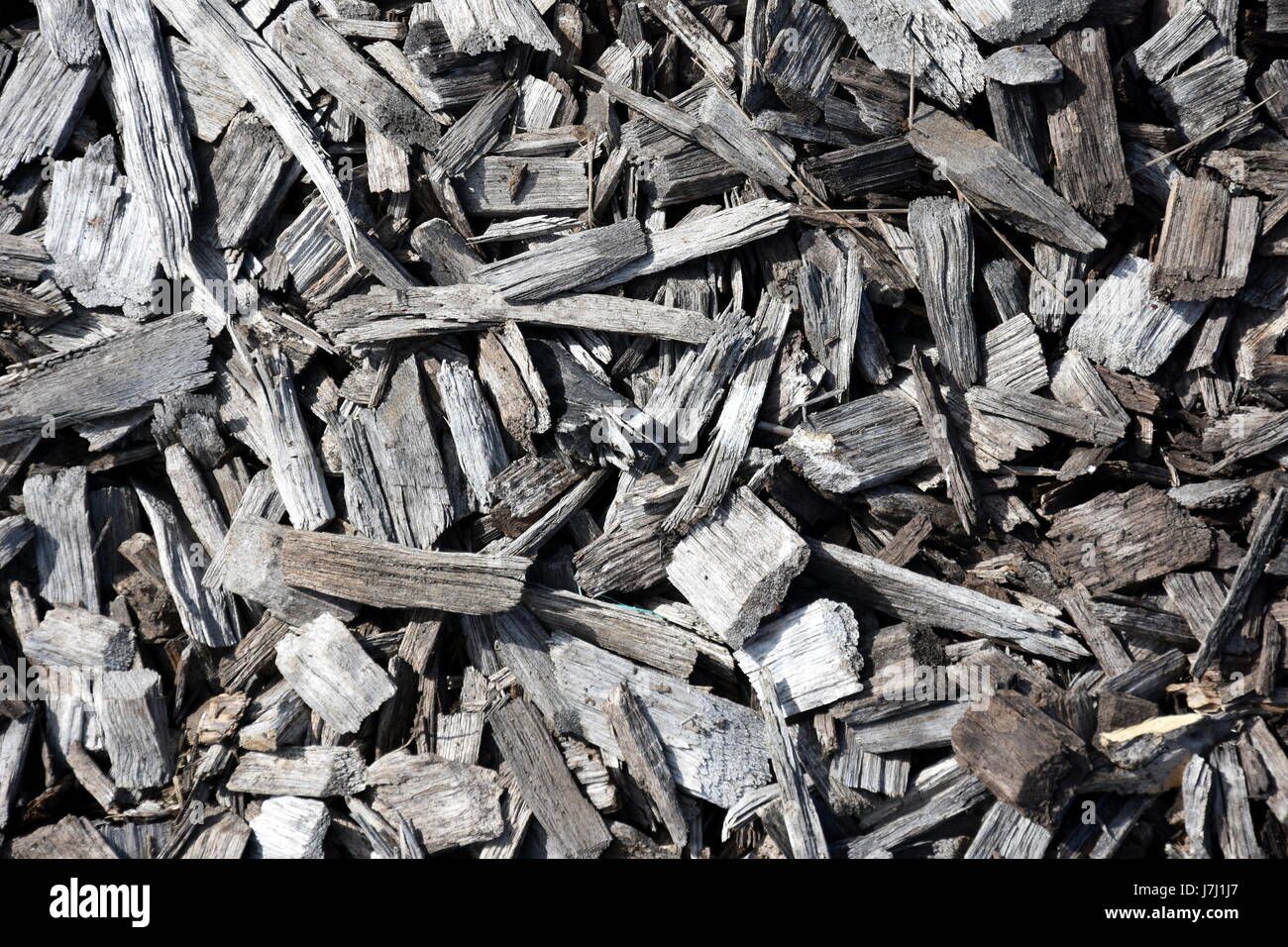 Gray and black Bark wood chippings mulch as an abstract coarse ...