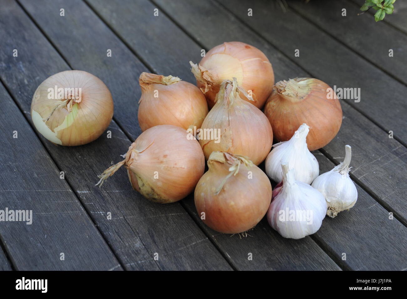 food aliment freshness boil cooks boiling cooking vegetable raw onion ...