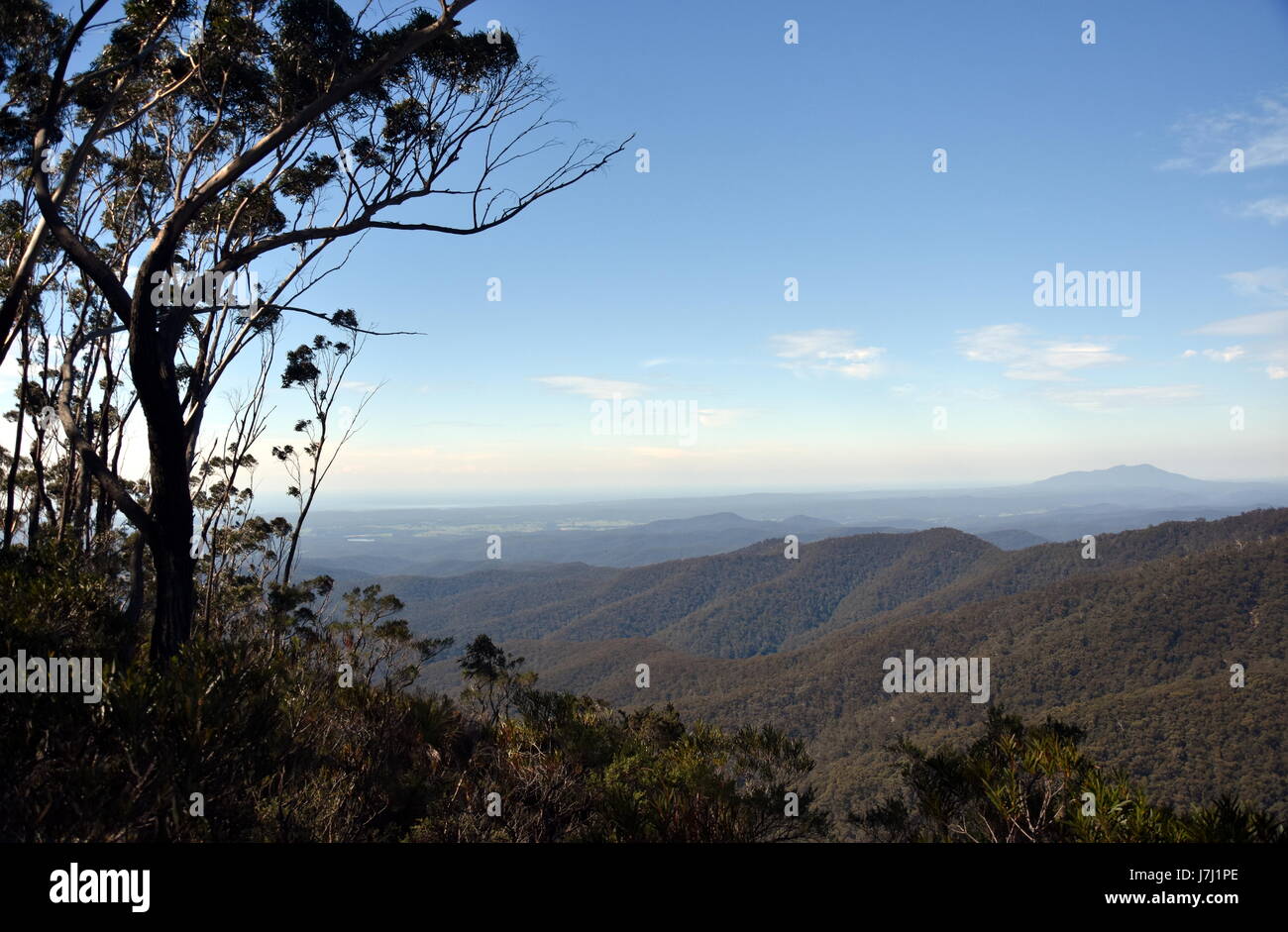 Panoramic view from Hanging Mountain Lookout. Mount Gulaga (Dromedary ...