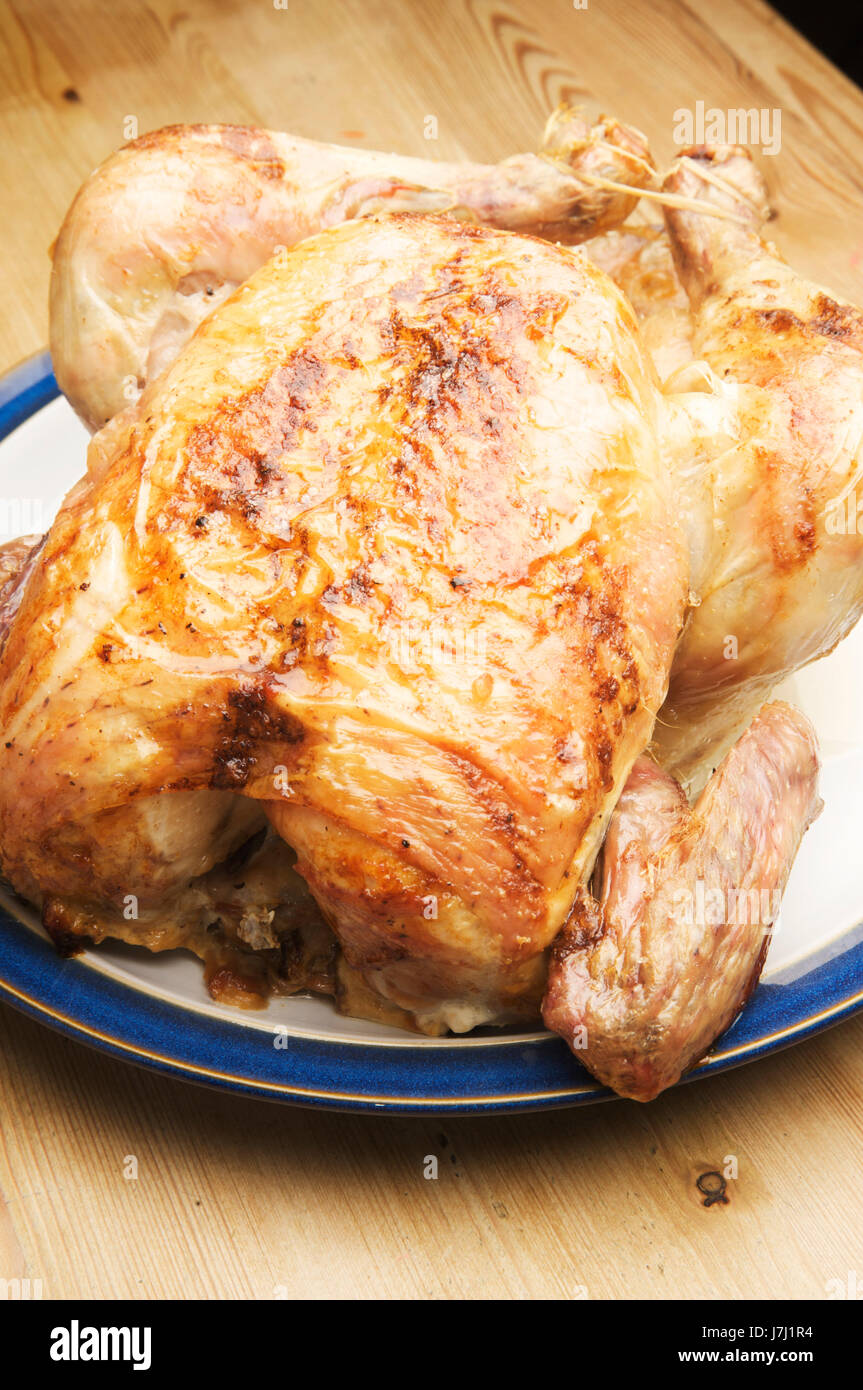 food aliment bird boil cooks boiling cooking chicken dish meal supper ...