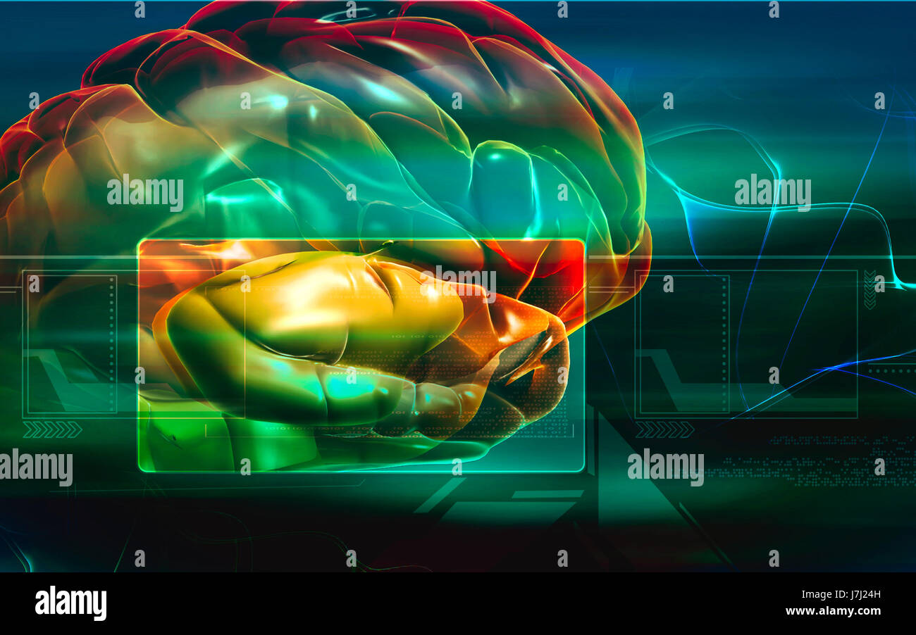 health medicinally medical graphics colour human human being ...